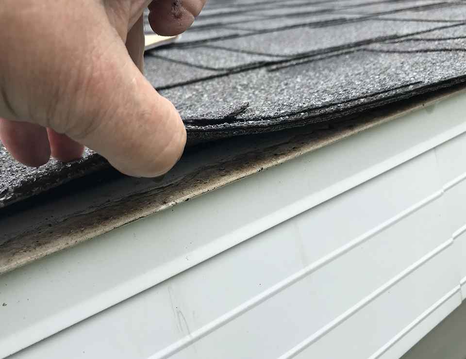 4 Tips to Know if Your Asphalt Shingles Are Bad? - Integrity Pro Roofing